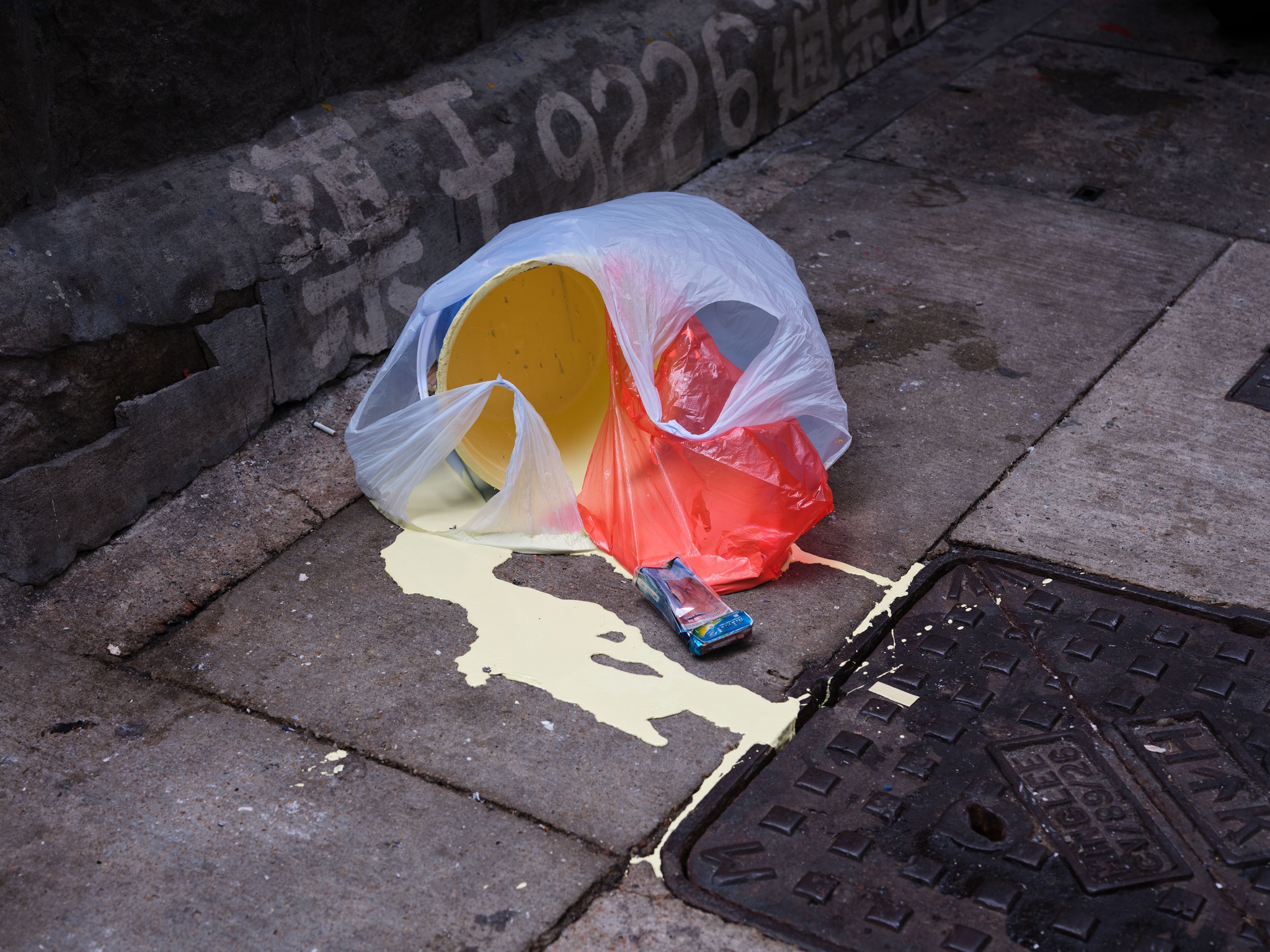 Transmigration – A Conversation Exhibition between Carol Lee Mei Kuen ...